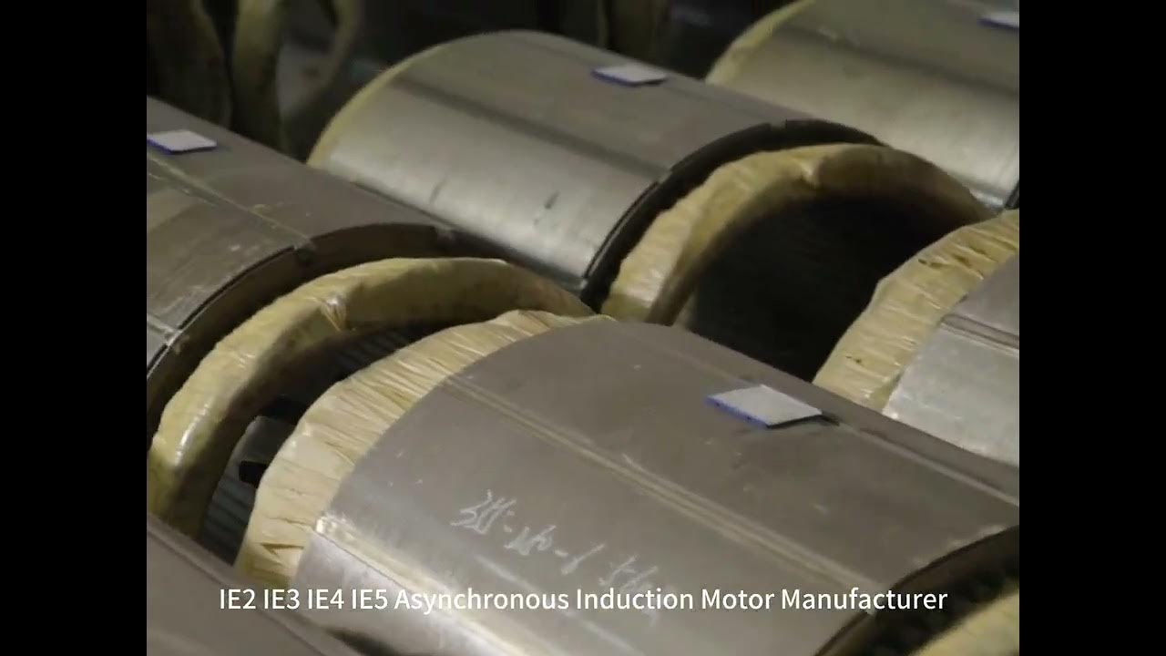 YE2 YE3 YE4 AC Asynchronous Induction Motor#electricmotor #motor #inductionmotor - YouTube