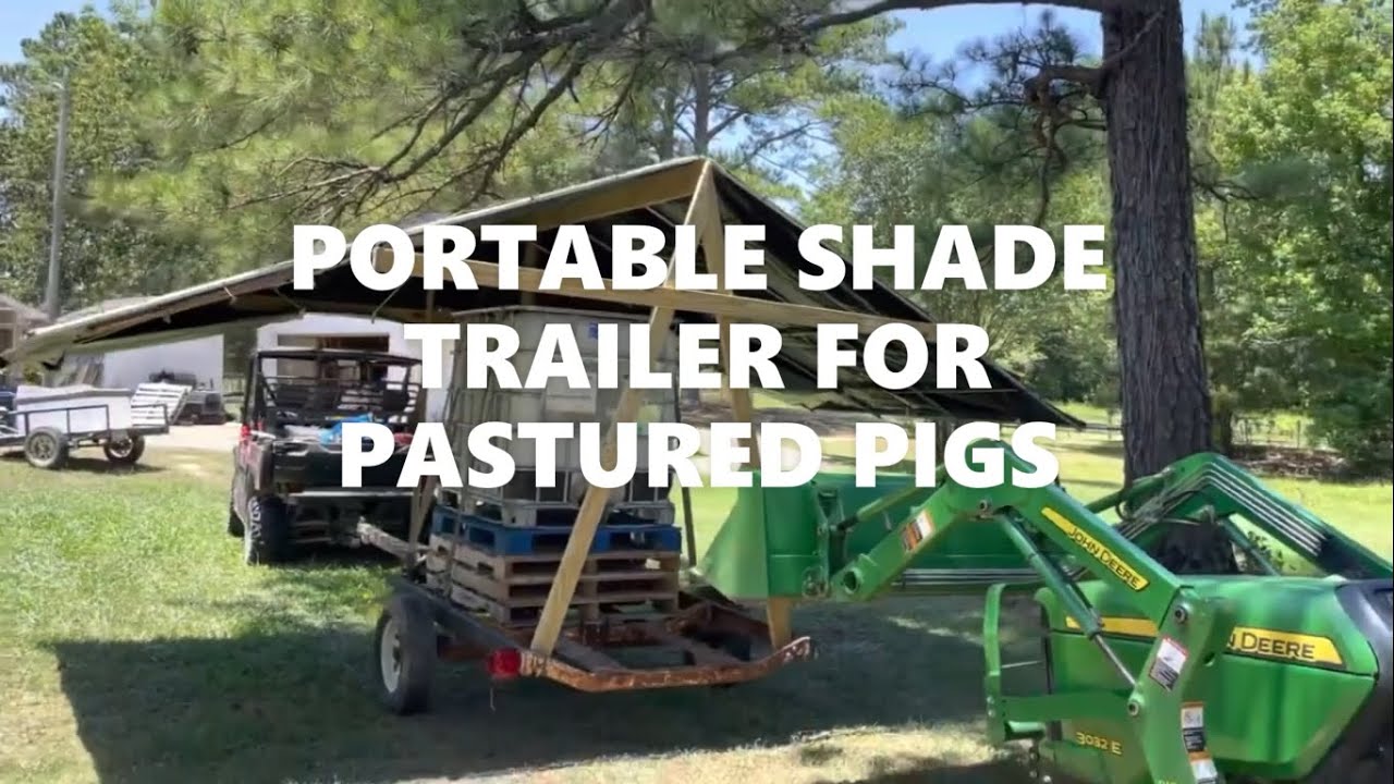 Portable Shade for Pastured Pigs #pasturedpigs #eatmypork # - YouTube