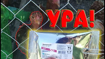 Что такое Эриприм? Ответов на вопрос: 21