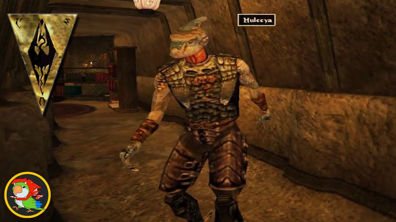 Cute Argonian bothered by Troublesome Fools | Elder Scrolls III ...