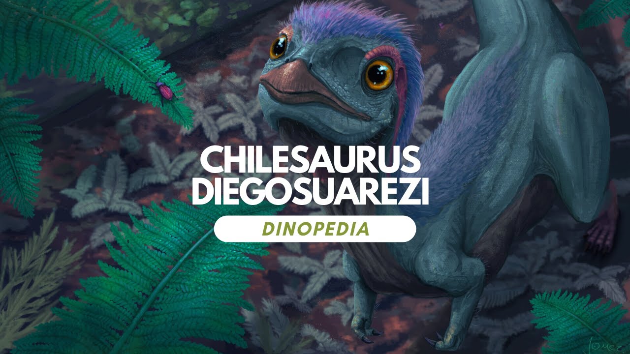 Dinopedia - Chilesaurus diegosuarezi - YouTube