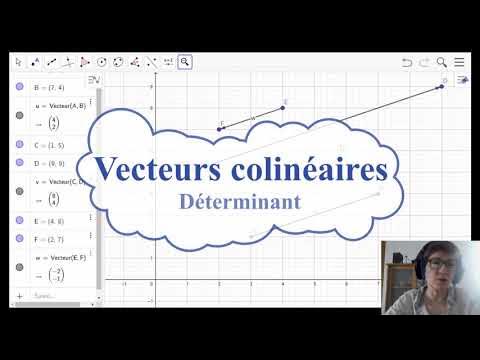 Vecteurs colinéaires, déterminant, proportionnalité - YouTube