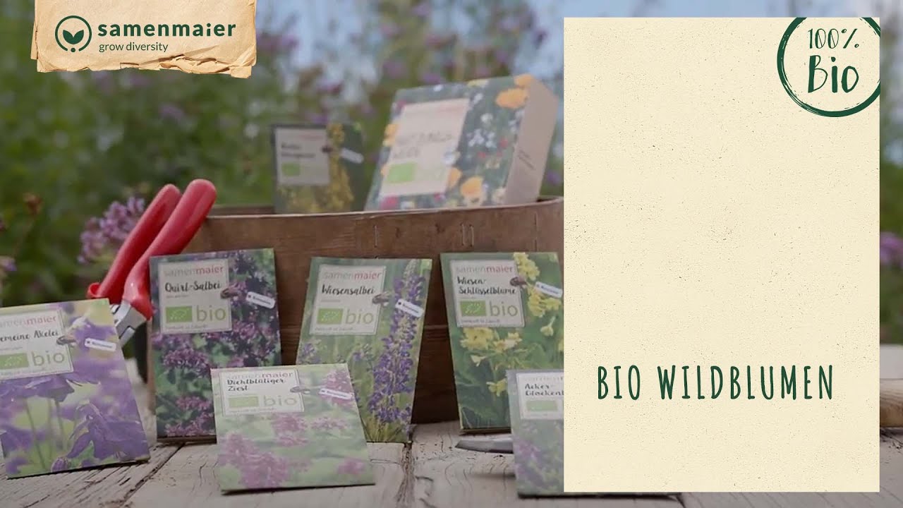 Bio Wildblumen /organic wildflowers | Samen Maier - YouTube