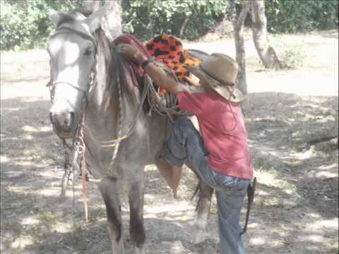 El Guayuco - YouTube