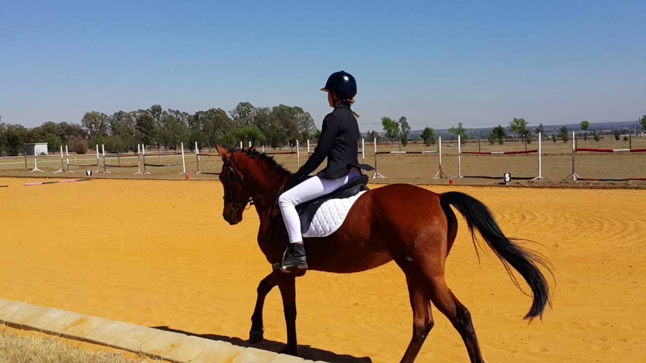 Chloé dressage, first round 2 Oct 2016 - YouTube