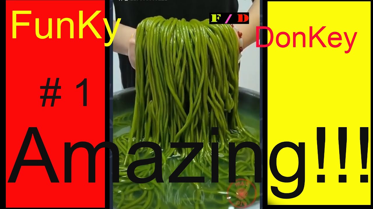 Amazing to Watch!!! || Mejores Videos Increibles || Vol 1 FunKy DonKey ...