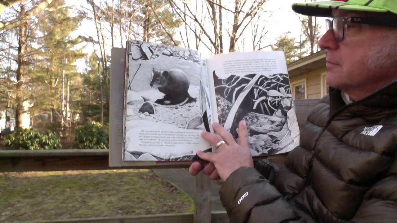 The Story Of Jumping Mouse / Mr. Harig - YouTube