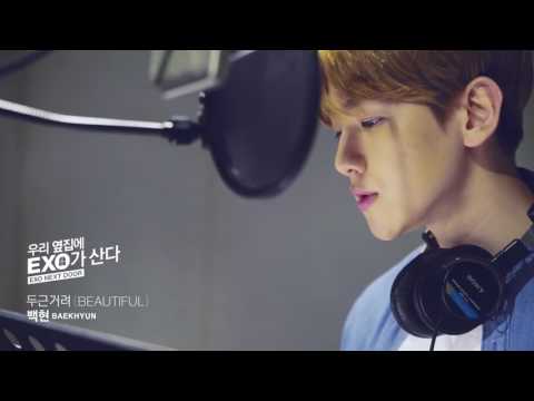 Exo~baekhyun ~ beatiful