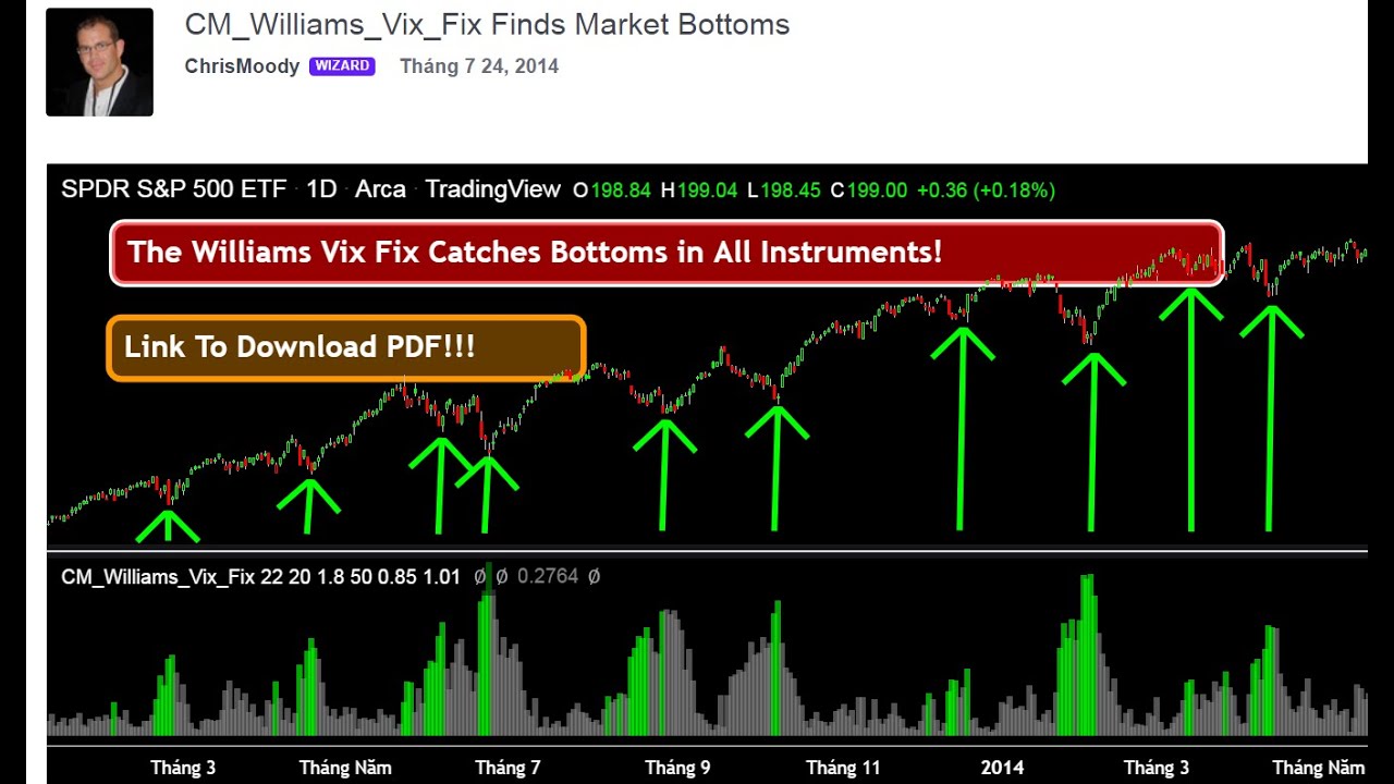 CM Williams Vix Fix - Tìm đáy thị trường, dịch từ TradingView - YouTube