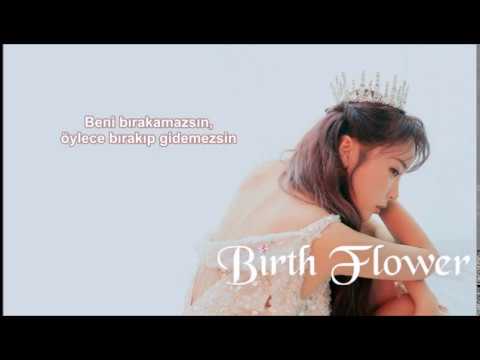 Hong Jin Young - Love is like a petal (Türkçe Altyazılı)