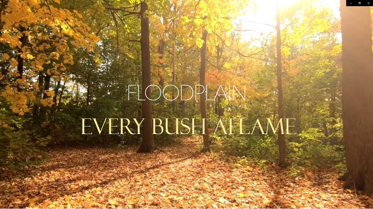 FLOODPLAIN: 'EVERY BUSH AFLAME' - PREVIEW - YouTube