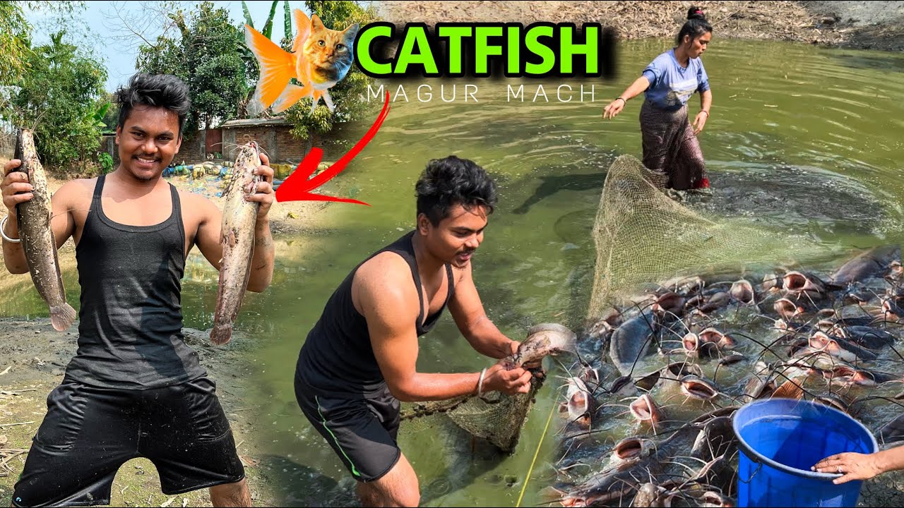 Muscovy Duck Ke Sath Picnic Aur Maine Catfish Apne Hath Se Pakda 😅 ...