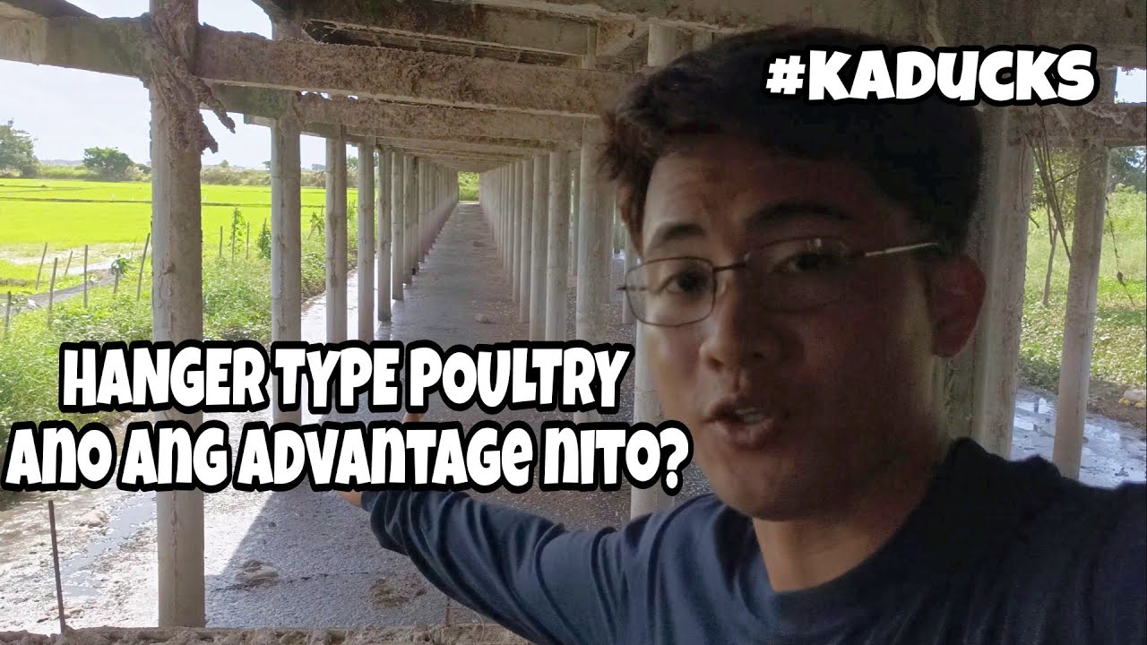 EP100 - HANGER TYPE POULTRY ADVANTAGE #kaduckS - YouTube