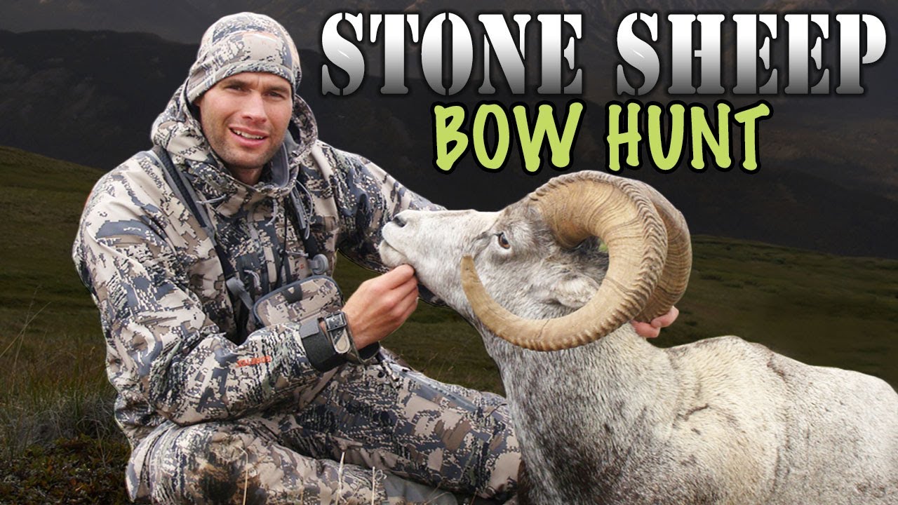 DIY Sheep Bow Hunting - Stone Sheep in British Columbia - YouTube