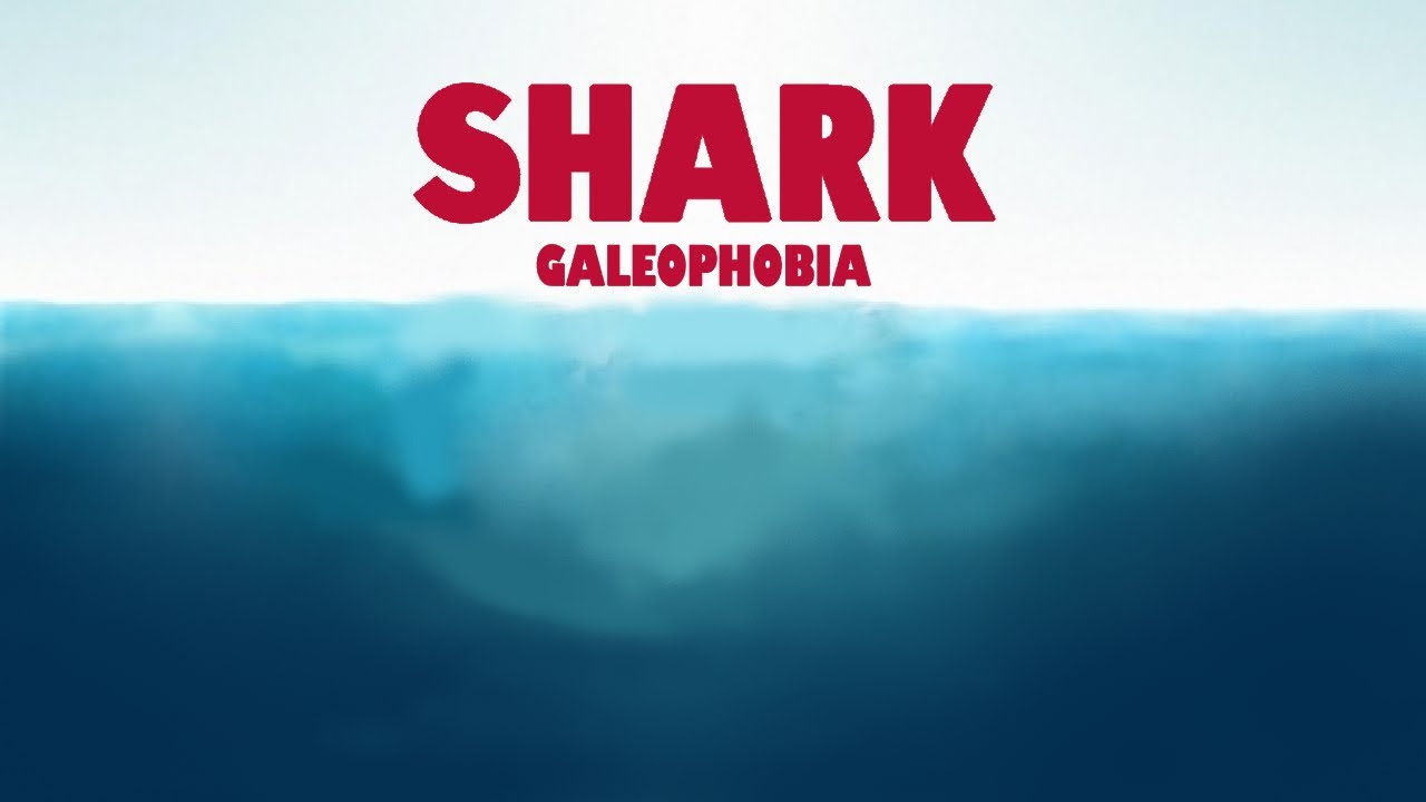 How I got over my fear of sharks. - (Galeophobia) - YouTube