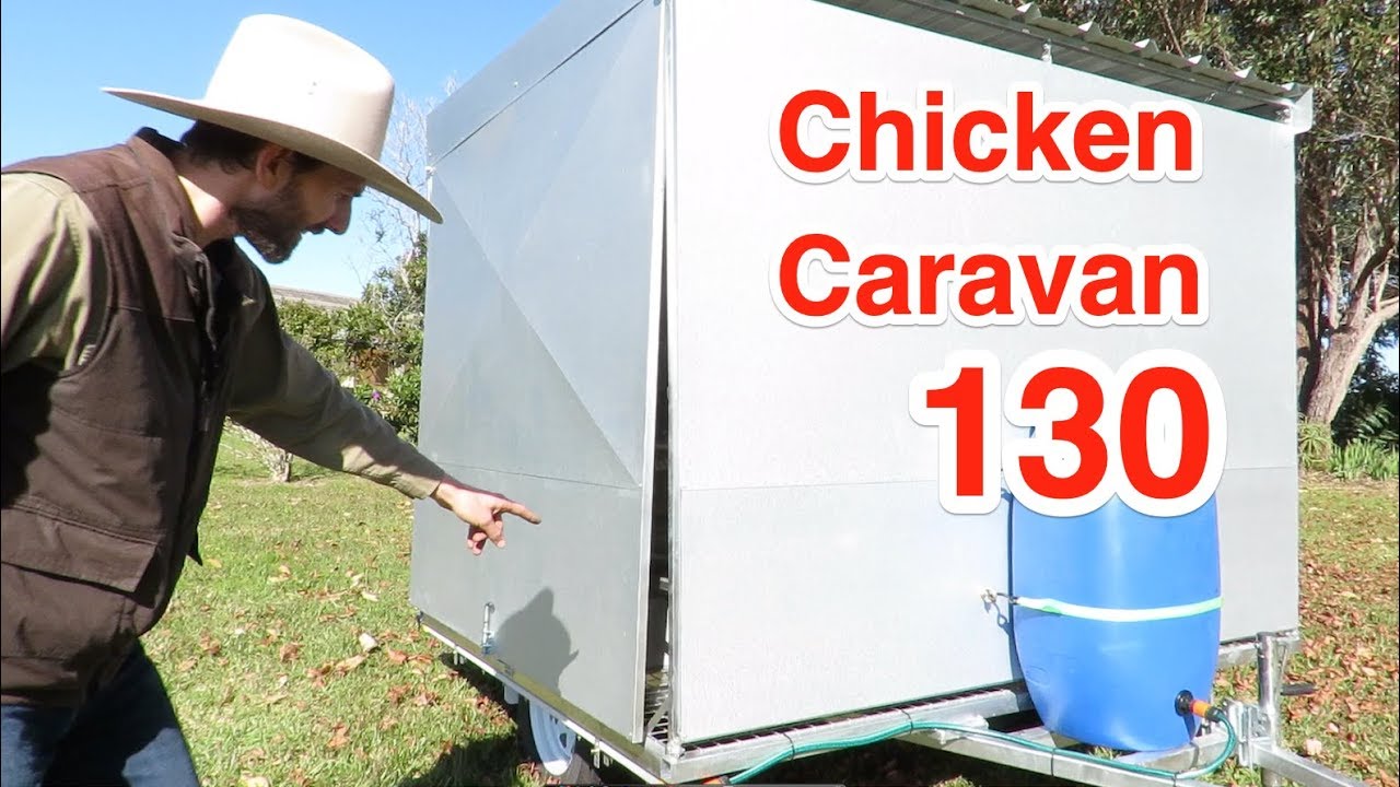 Chicken Caravan 130 (Quick Overview) - YouTube