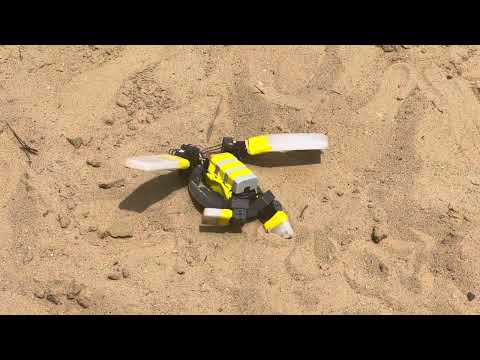 This turtle robot is designed to lead baby sea turtles to safety ...