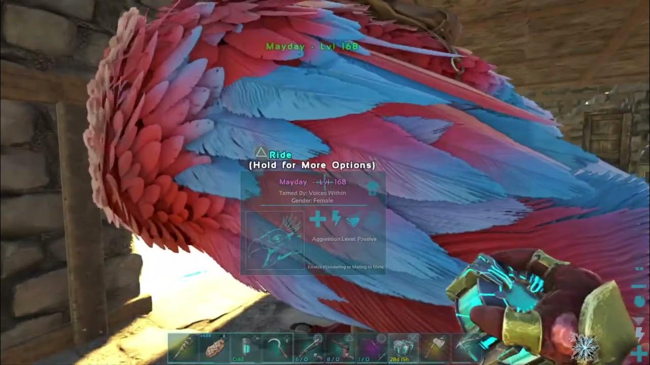 Christian Ark Cabin build part 3 - YouTube