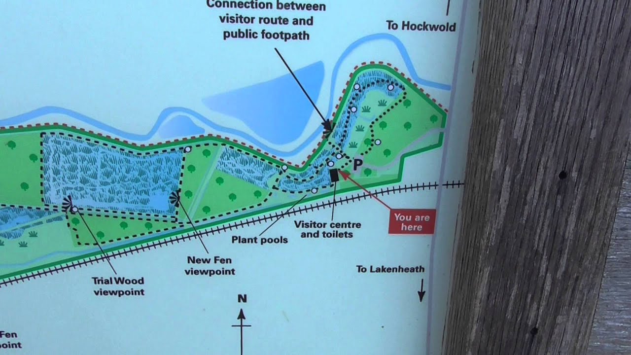 RSPB Lakenheath Fen recent sightings 10Jan15 Suffolk UK 159p - YouTube