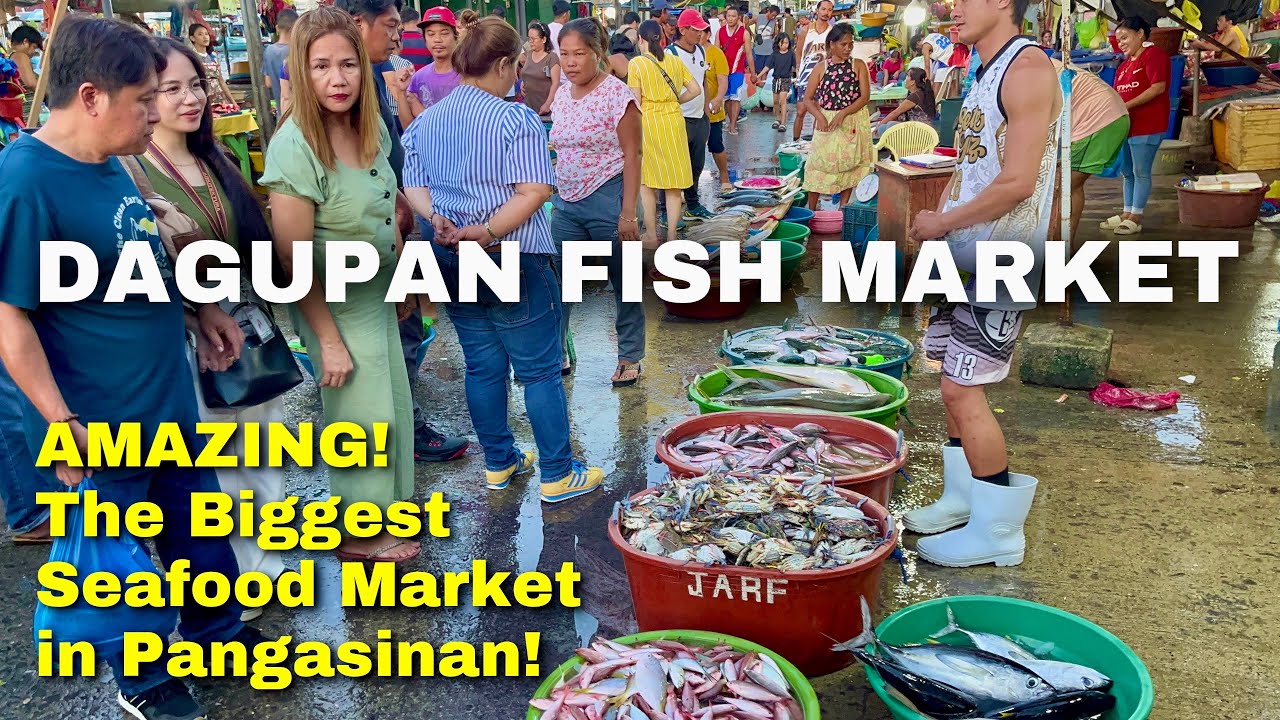 Dagupan Fish Market Tour with Prices — Amazing Seafood Market Scene of ...