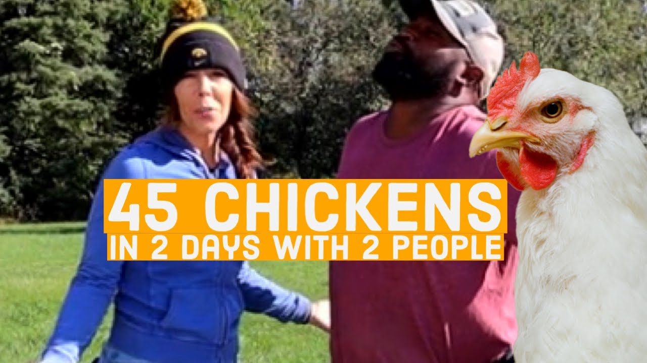 45 Chickens Later.. Just The Two Of Us - YouTube