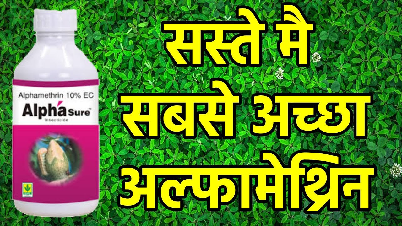 alphamethrin/iffco insecticide - YouTube