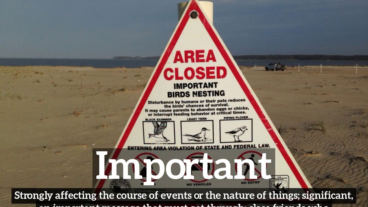 What is Important? | How Does Important Look? | How to Say Important in ...