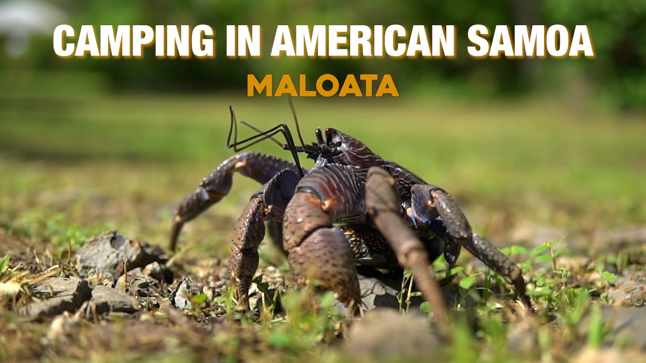 Camping in American Samoa - Maloata | I'M BACK! - YouTube