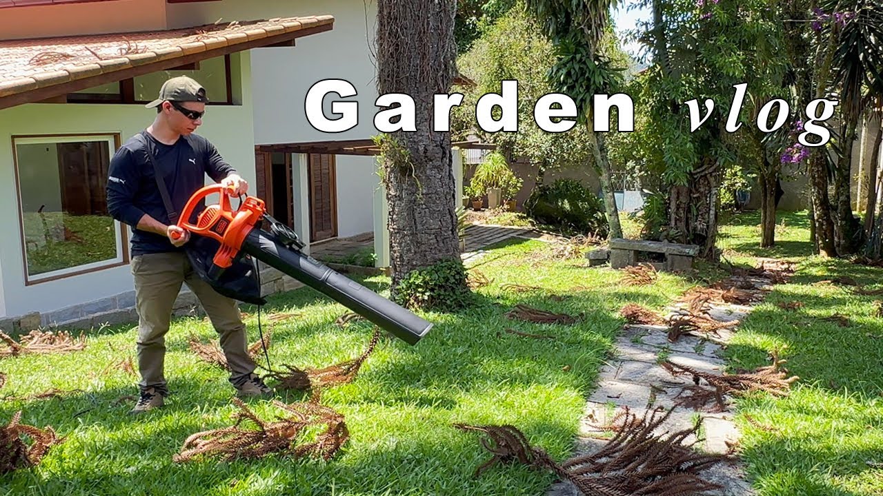 Como eu cuido do meu gramado | Refúgio Green - YouTube
