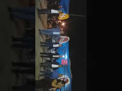 AYNUR DEMİRYILMAZ- HALAY- DUT AĞACI DUT VERİR