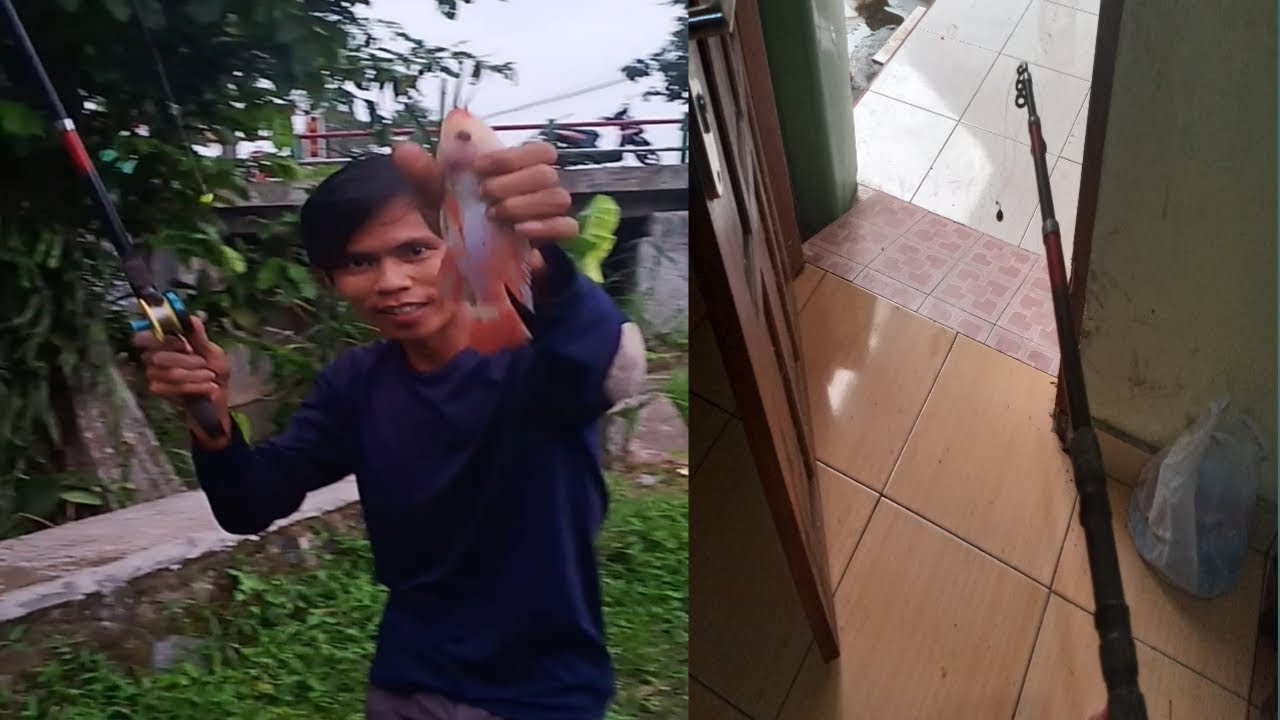 MANCING MANIA - MANTAP - YouTube