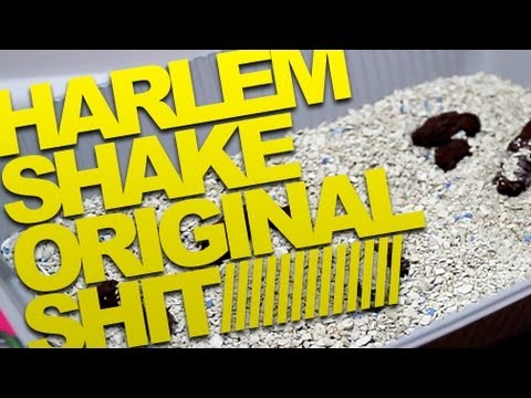 Harlem Shake - Original Shit - YouTube