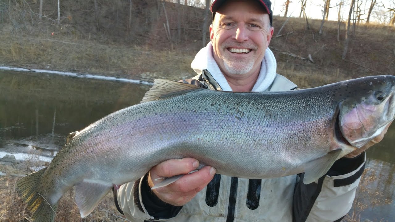 Trophy Fish Hunter and Eric Haataja catch some big steelhead on the ...