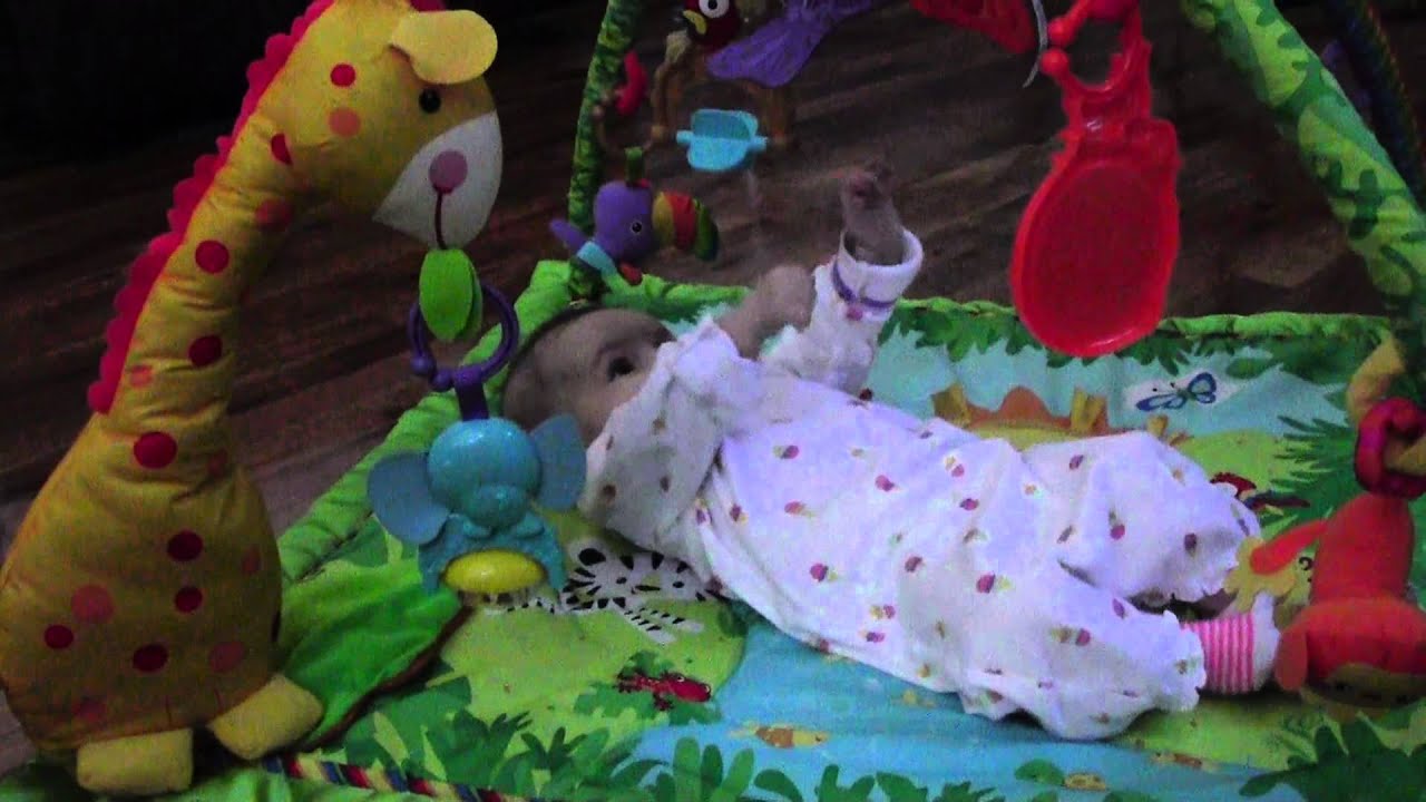 Rainforest play gym fun! - YouTube