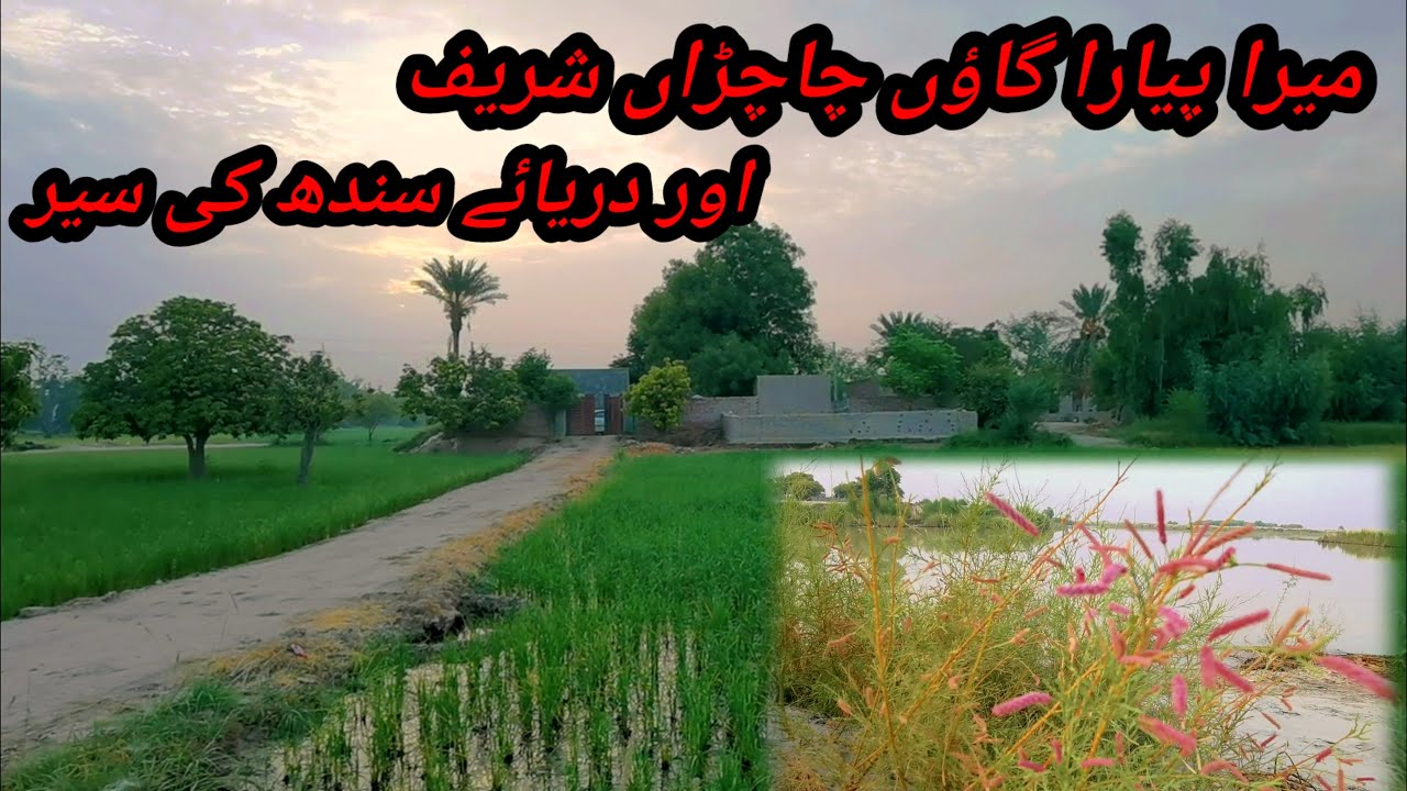 My Beautiful Village | Chachran Sharif | Dist: Rahim Yar Khan | # ...