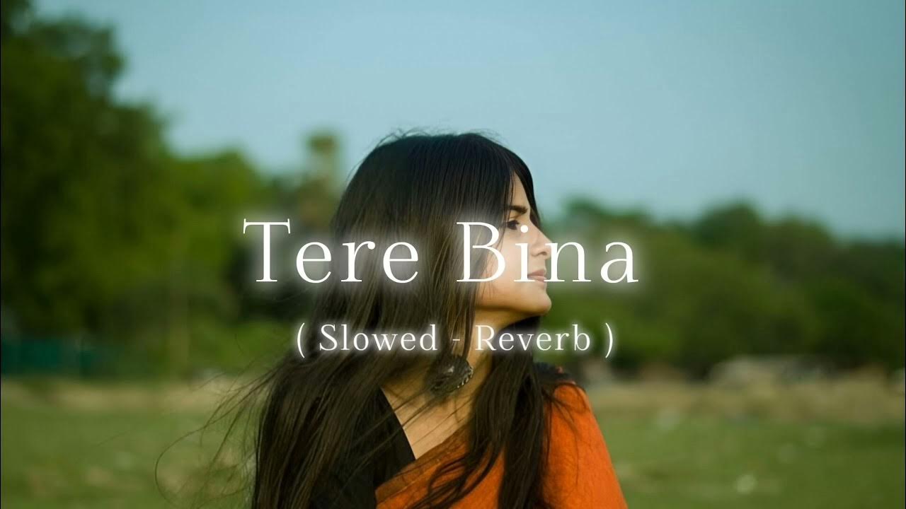 Tere Bina lo-fi Song ll Official Audio ll Mixed Slowed - Reverb ll Made by @Tectolo-fi ll - YouTube