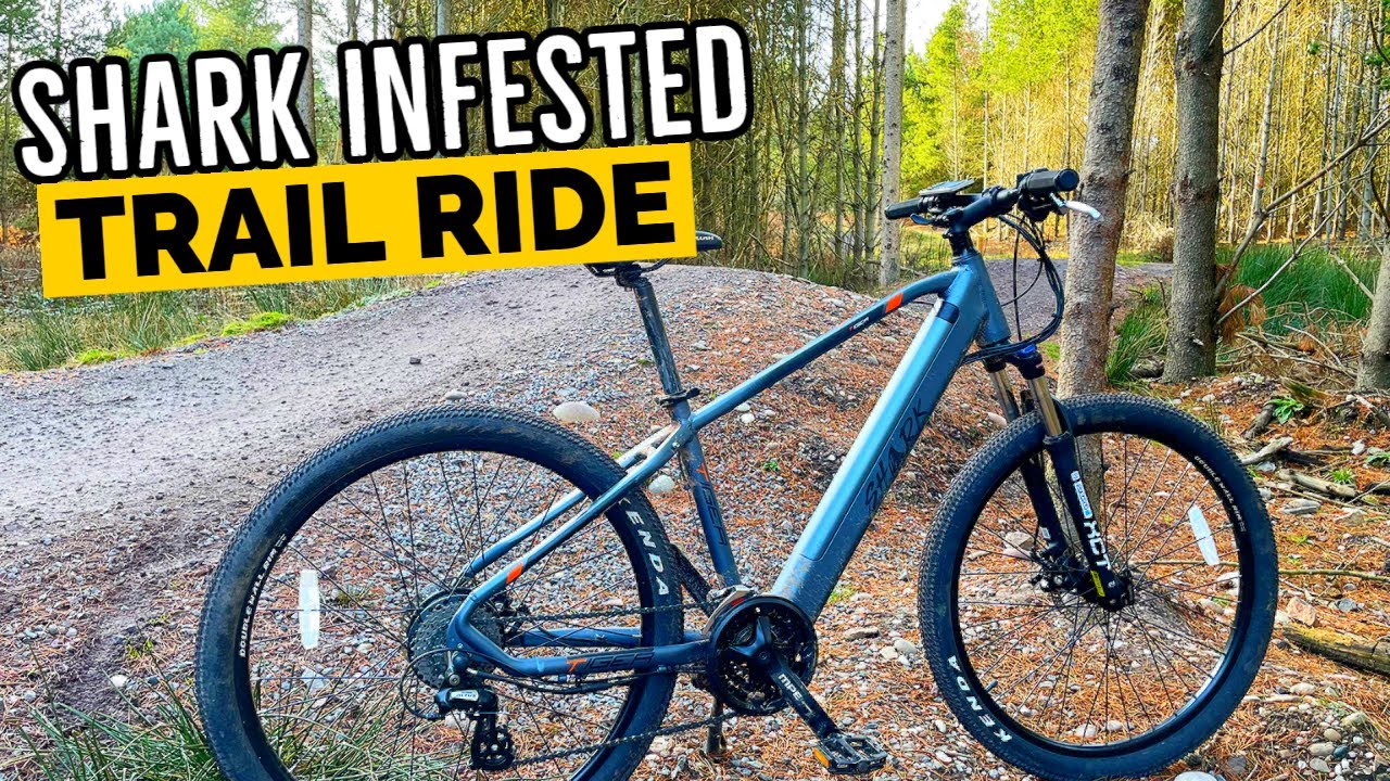 Entry Level E-bikes Dope or Nope? - YouTube