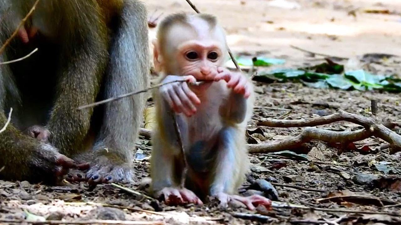 Lovely Baby Lucy, Lucy Want To Play. - YouTube