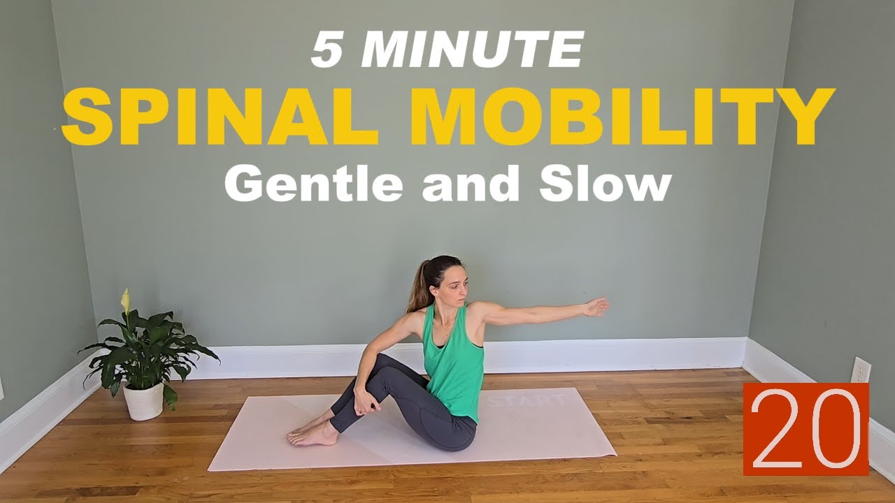 5 MINUTE SPINAL Mobility Flow For Better Flexibility & Movement - YouTube
