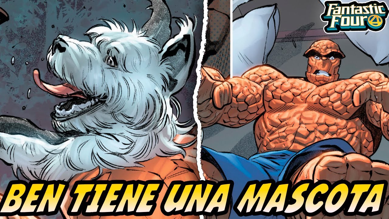 La Mole Se Consigue Una Perra || Los Cuatro Fantásticos 2022 #11 - YouTube