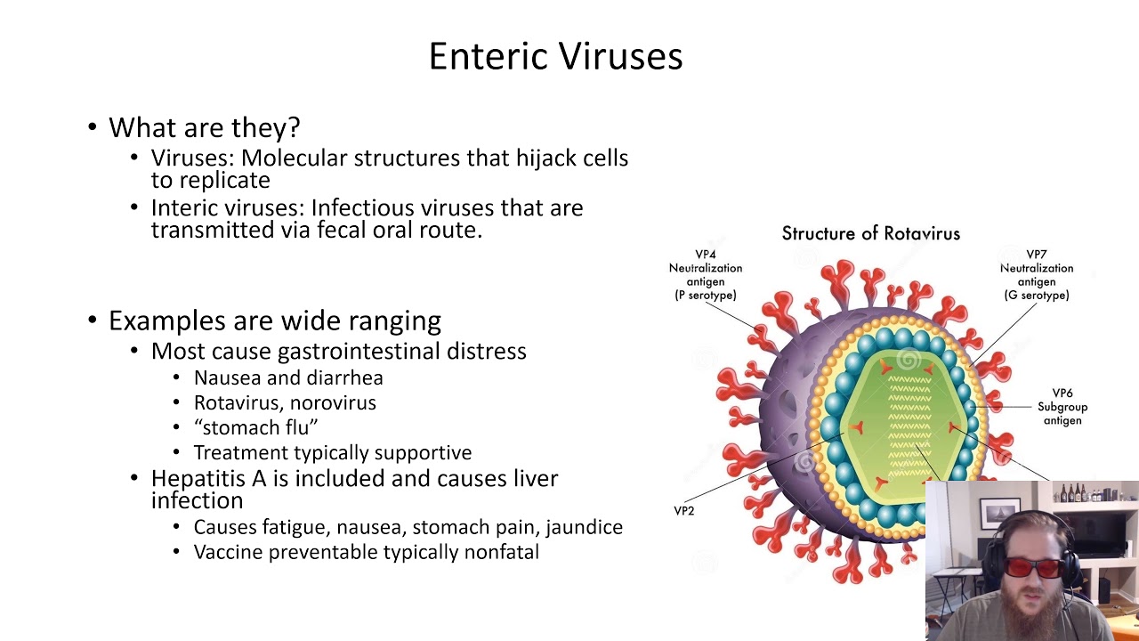 Enteric Viruses - YouTube