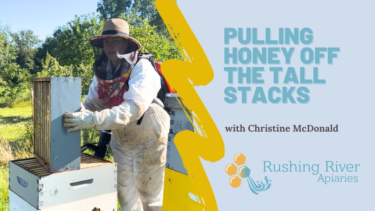 Pulling honey from some tall hives - YouTube