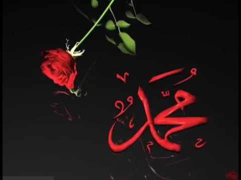 Gel anam