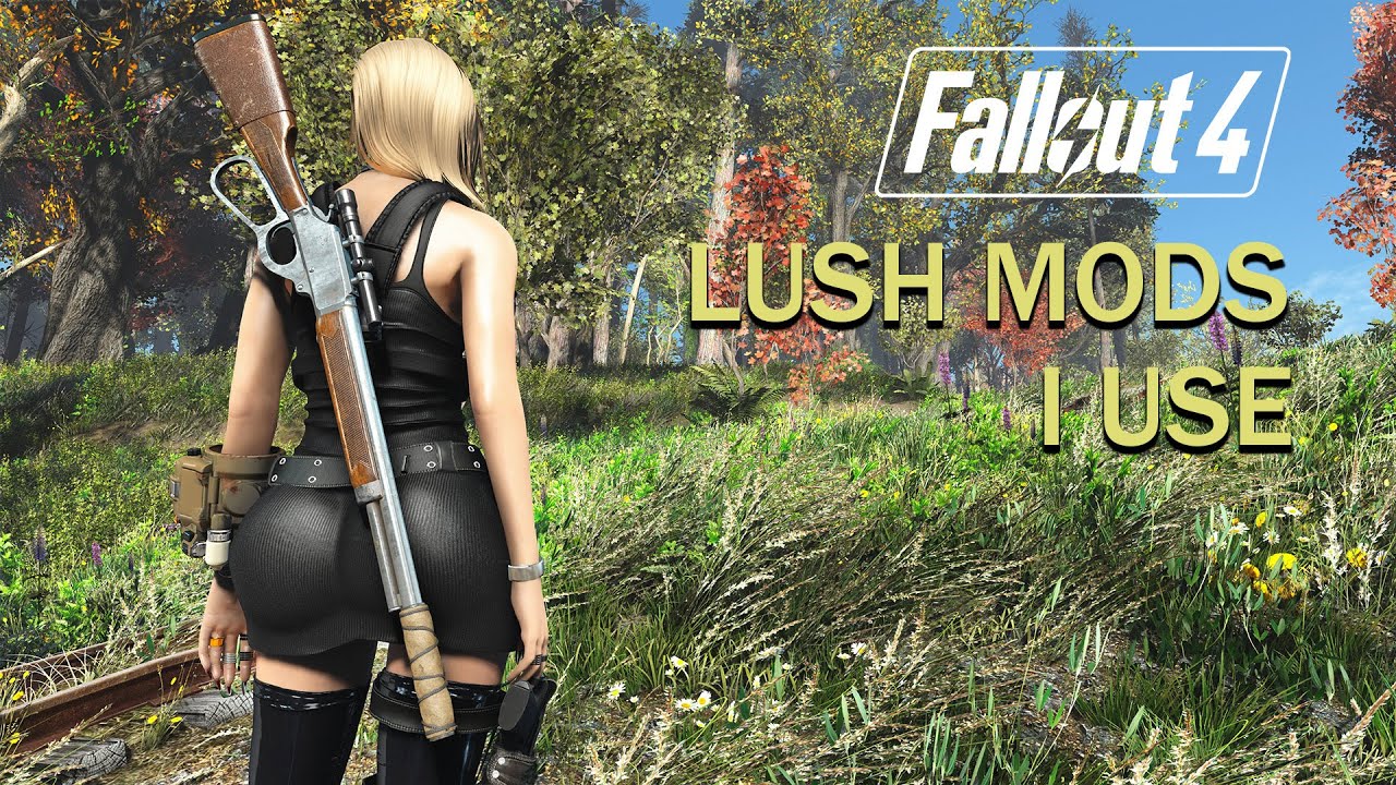 From Wasteland to Forest, Lush Mods That Transform Fallout 4 | 4K - YouTube