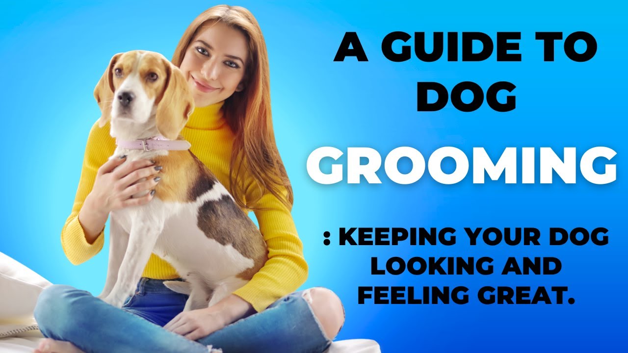 A Guide to Dog Grooming: Keeping Your Dog Looking and Feeling Great ...