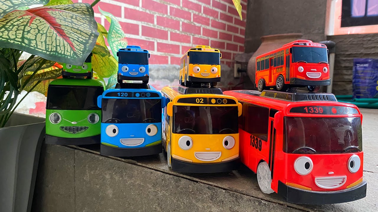 Tayo the Little Bus: Tayo,Rogi,Lani,Gani Bus Car Collection - YouTube