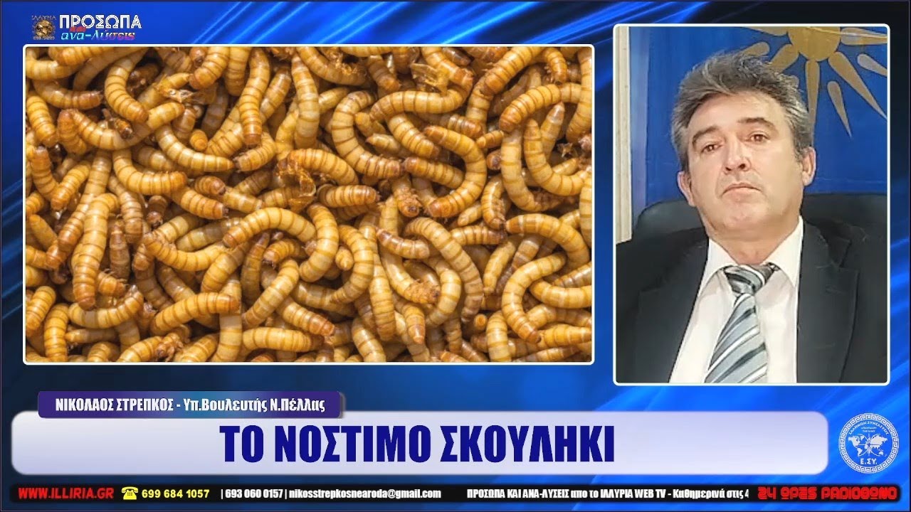 ΙΛΛΥΡΙΑ WEB TV | ΤΟ ΝΟΣΤΙΜΟ ΣΚΟΥΛΗΚΙ | ΝΙΚΟΛΑΟΣ ΣΤΡΕΠΚΟΣ - YouTube