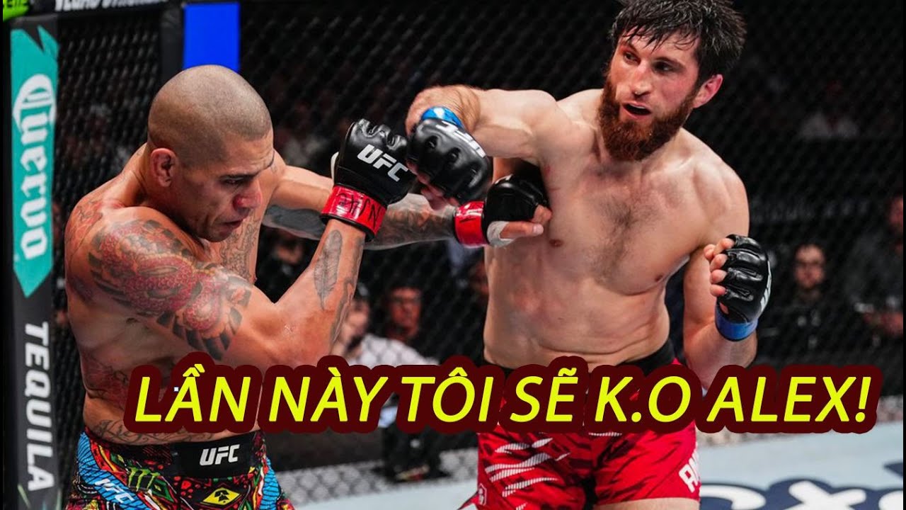 Ankalaev QUYẾT KNOCK OUT; Alex Pereira SẴN SÀNG LÊN HẠNG NẶNG? PHẢN ỨNG Tom Aspinall vs Ciryl ...
