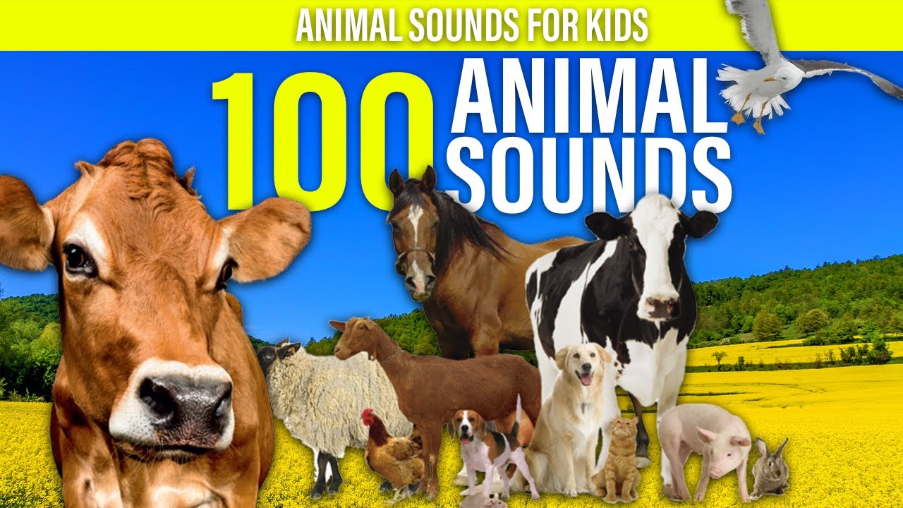 100 ANIMAL SOUNDS for Kids - elephant, parrot, cow, cat, goat, giraffe ...