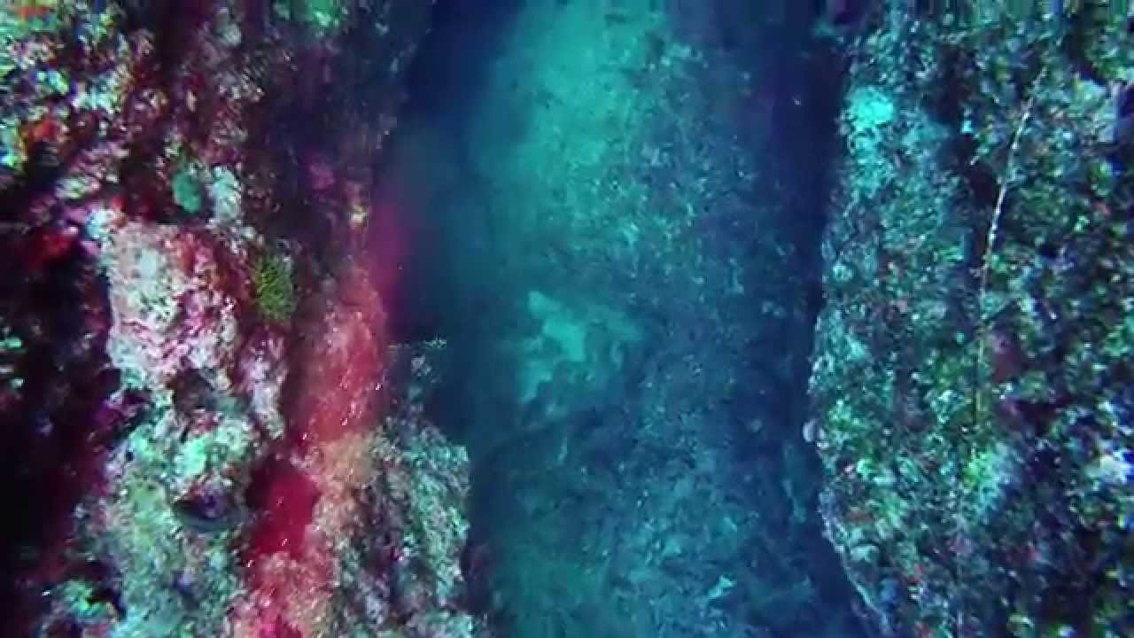 Shark and Tunnel at Bolo Point (Cape Zanpa) , Okinawa, Japan - YouTube